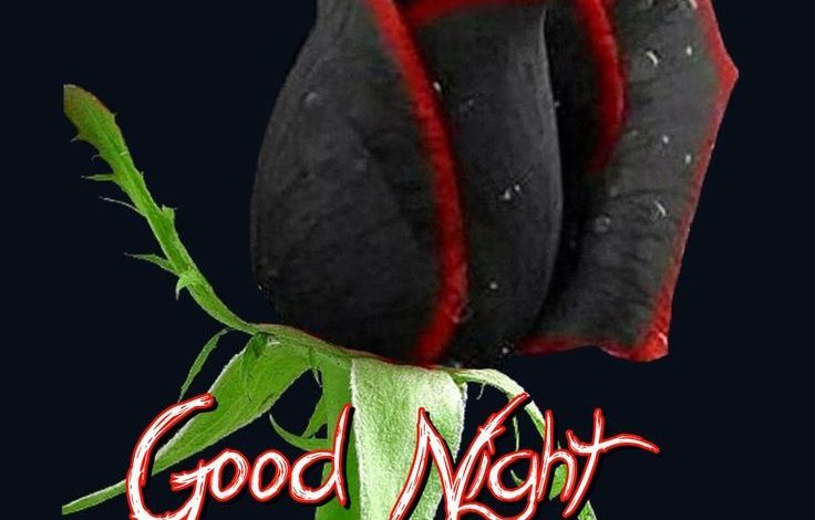 do not gentle into that good night photo – Namegif.com