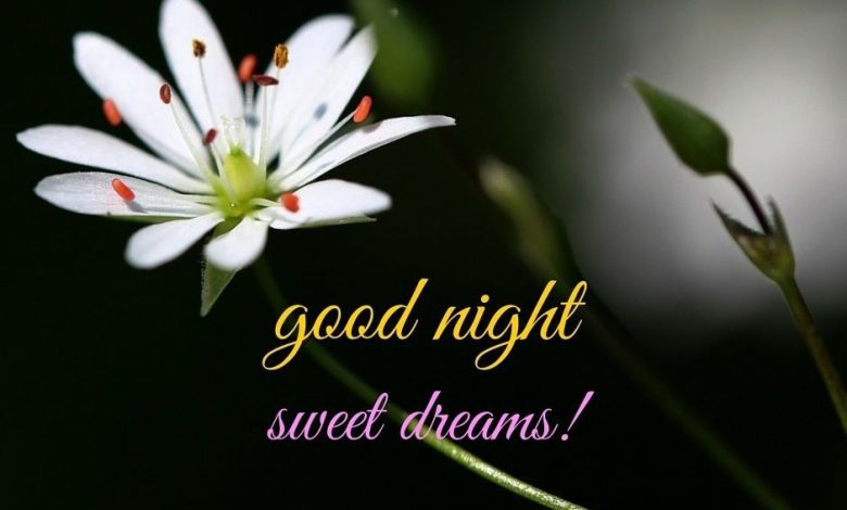 good night nature photo – Namegif.com