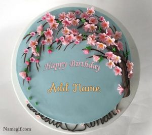 add name on Happy birthday cake beautiful Photo – Namegif.com